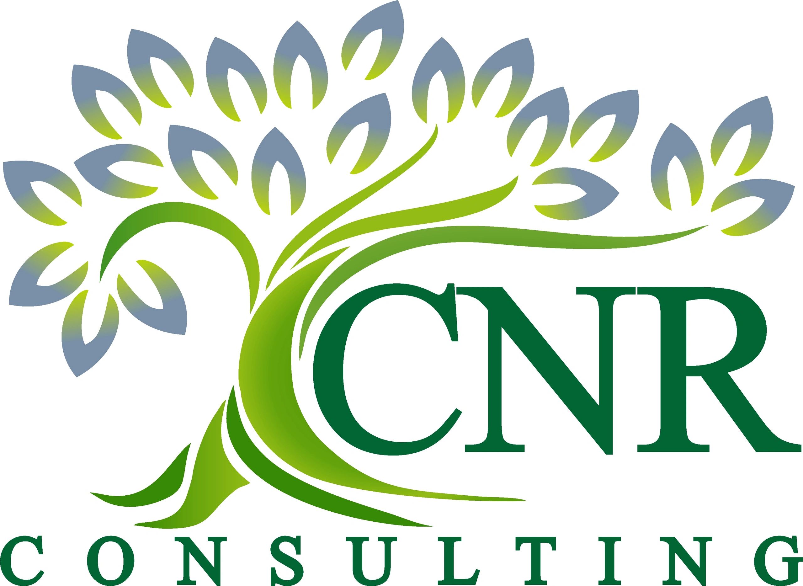 CNR Consulting, LLC